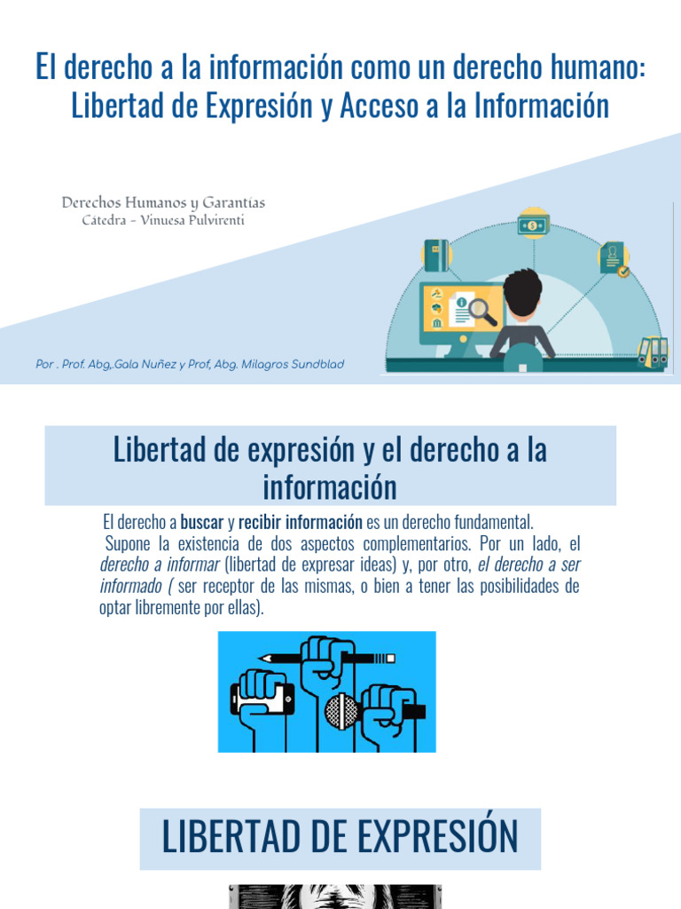 Derecho a la Información y Libertad de Expresión | PDF | Libertad de ...
