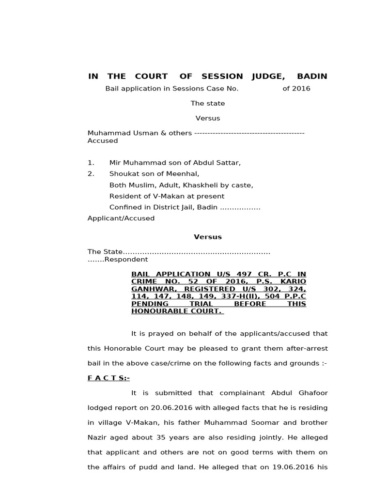 Murder bail application | PDF | Bail | Misconduct