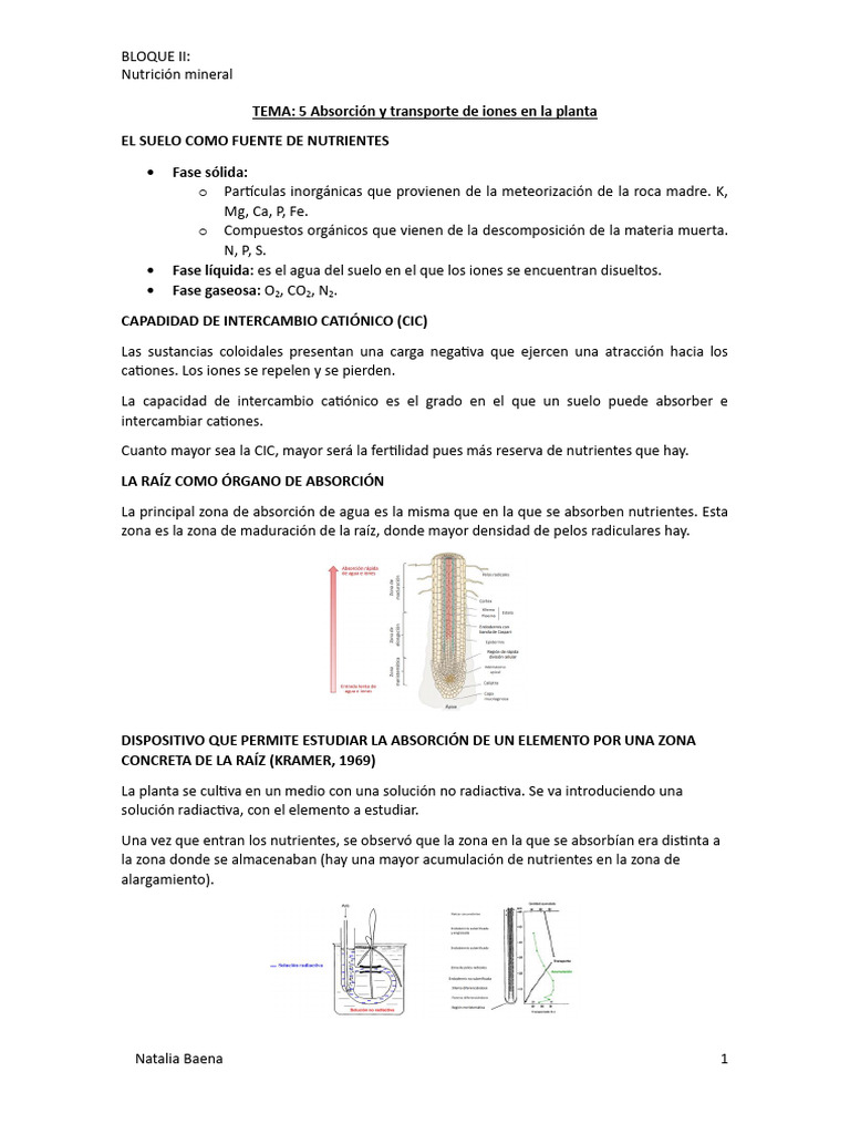 wuolah-free-TEMA-5-FV-gulag-free | PDF | Suelo