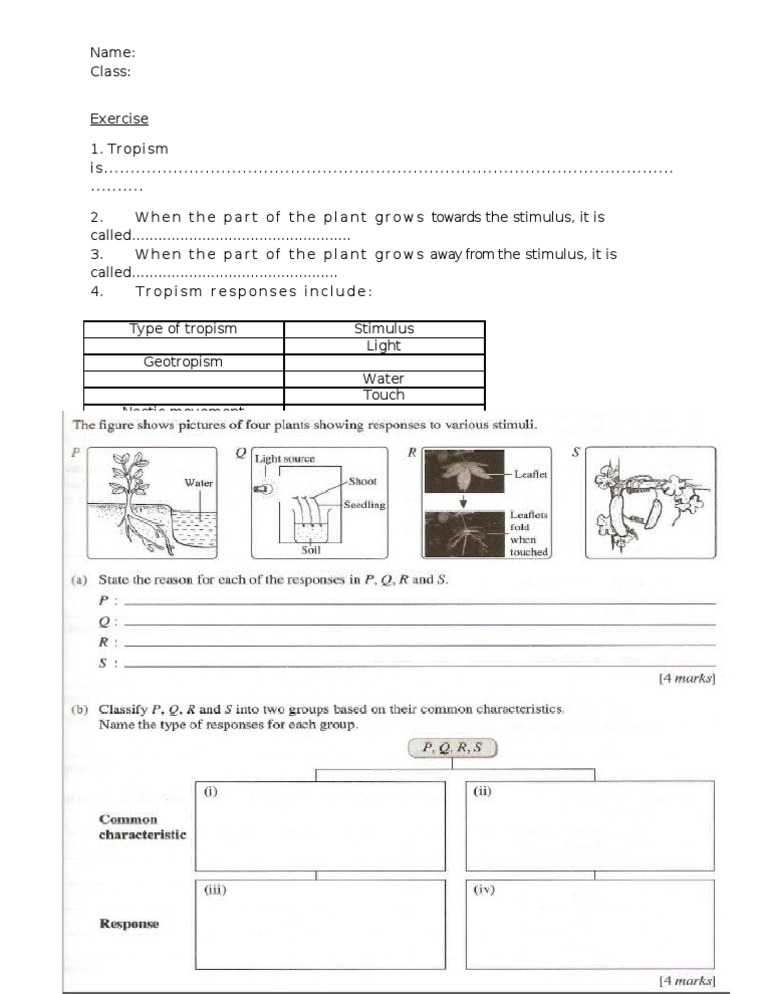 Exercise Science Form 2