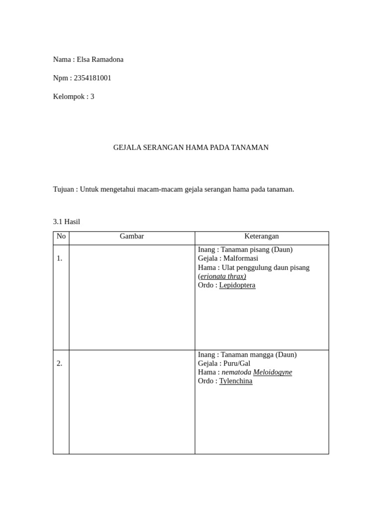Laporan DDPT Elsa Ramaa | PDF