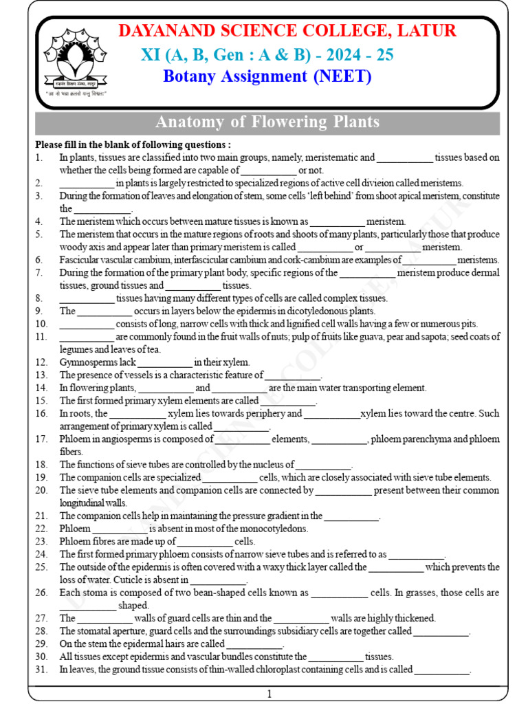 Anatomy of Flowering Plants - Fill in The Blank | PDF | Plant Stem ...