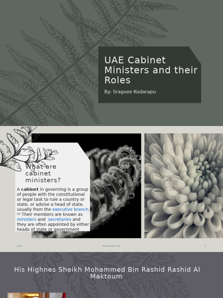 UAE Cabinet Ministers and Their Roles | PDF
