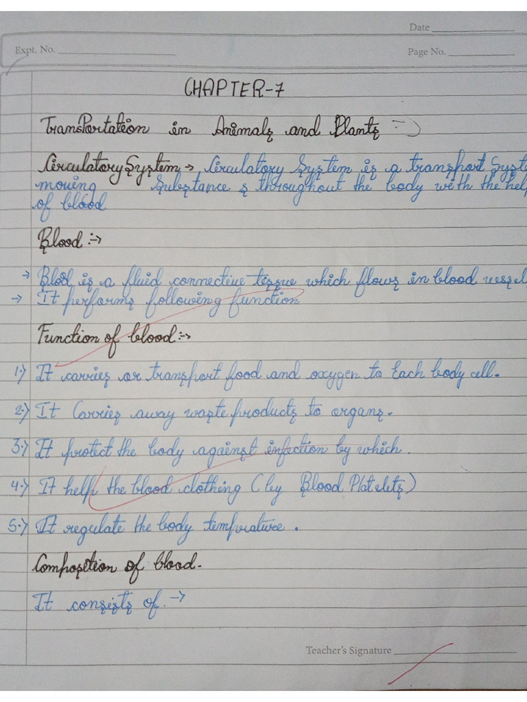 PDFReader 20241201 1102 | PDF