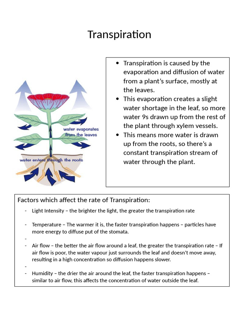 Transpiration - Poster | PDF