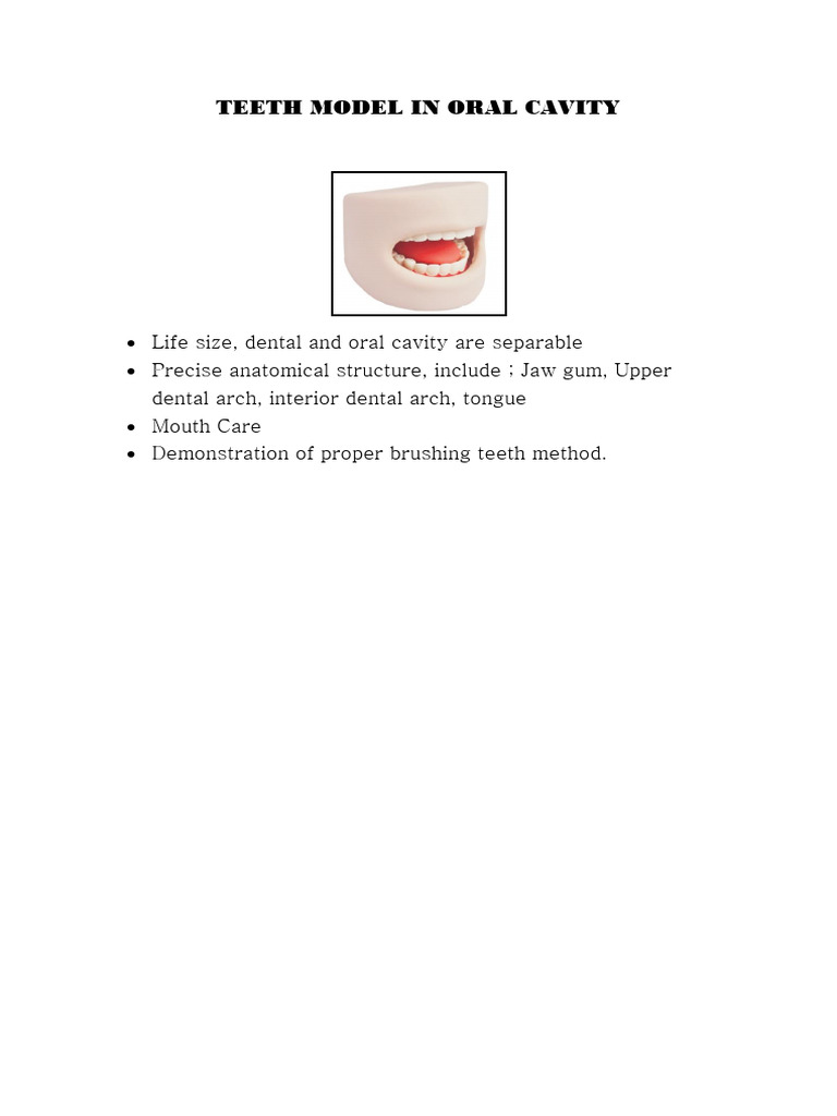 Dental Education Model Guide | PDF