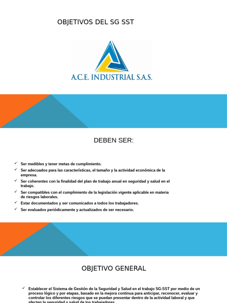 OBJETIVOS DEL SG SST | PDF