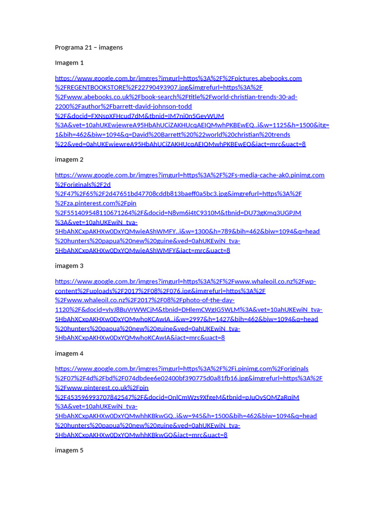 Programa 22 Imagens | PDF