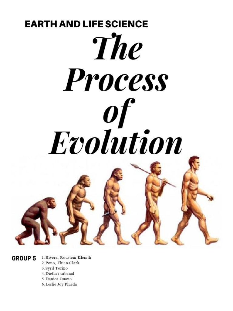 The Process of Evolution-- Group 5 | PDF | Evolution | Natural Selection