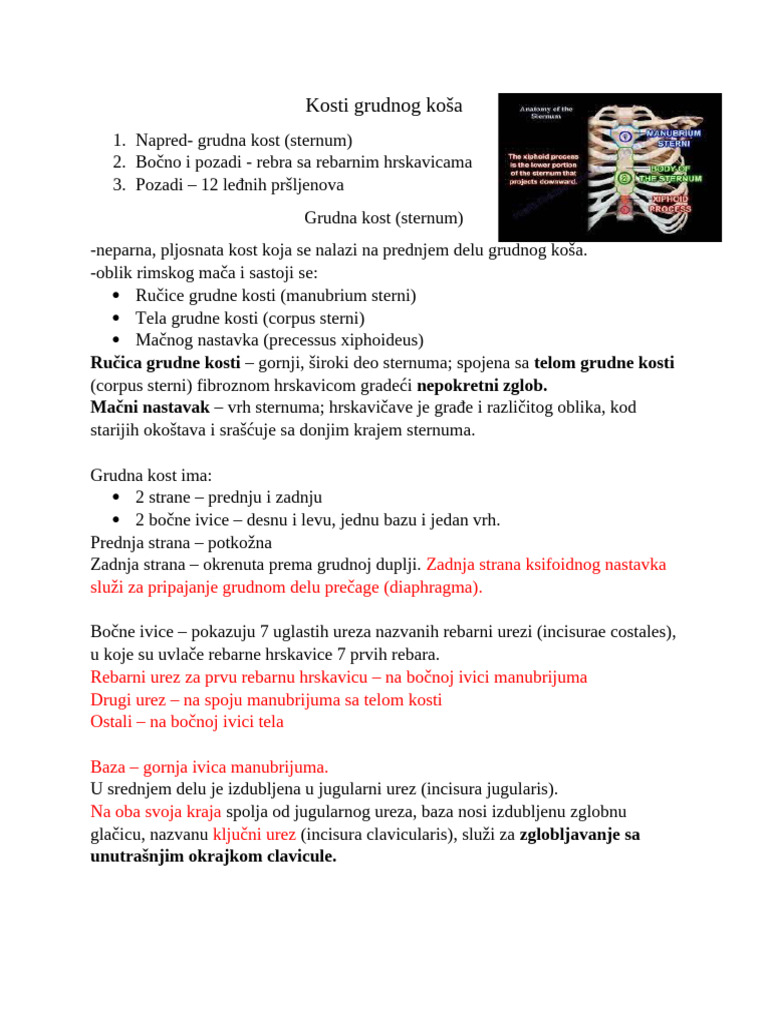 Kosti grudnog koša | PDF