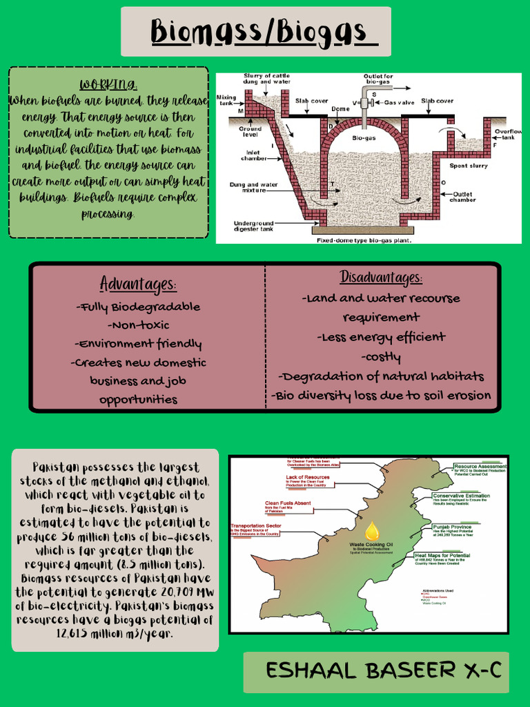 Biomass Biogas | PDF