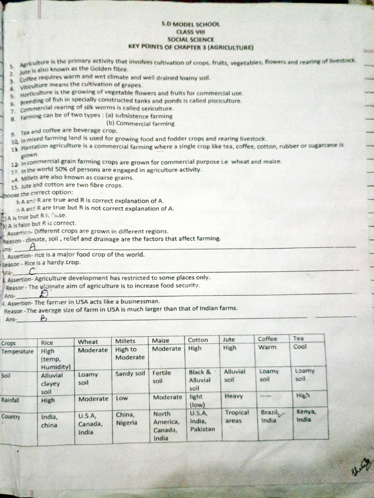 PT-3 Work Sheets of S.ST | PDF