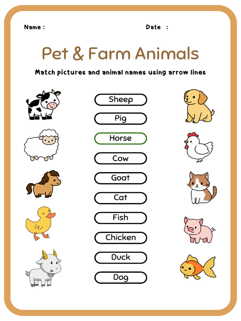 Animal Vocabulary Worksheet in White Playful Style | PDF