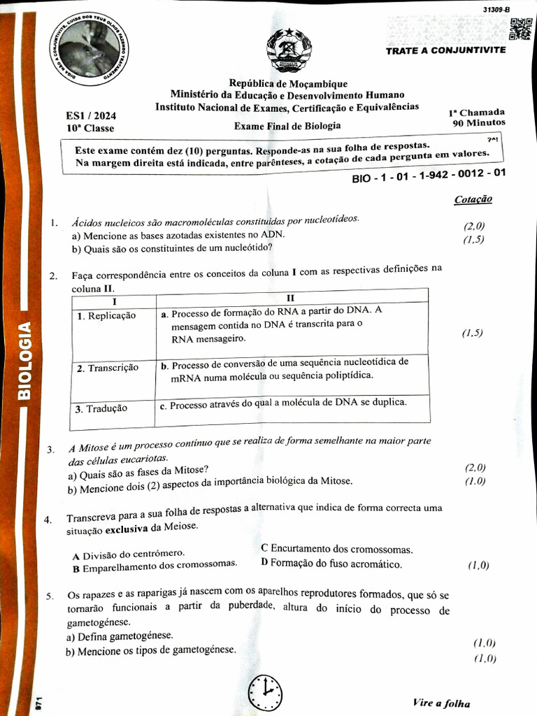Exame de Biologia 10a Classe 2024 1a Chamada | PDF | DNA | Alelo
