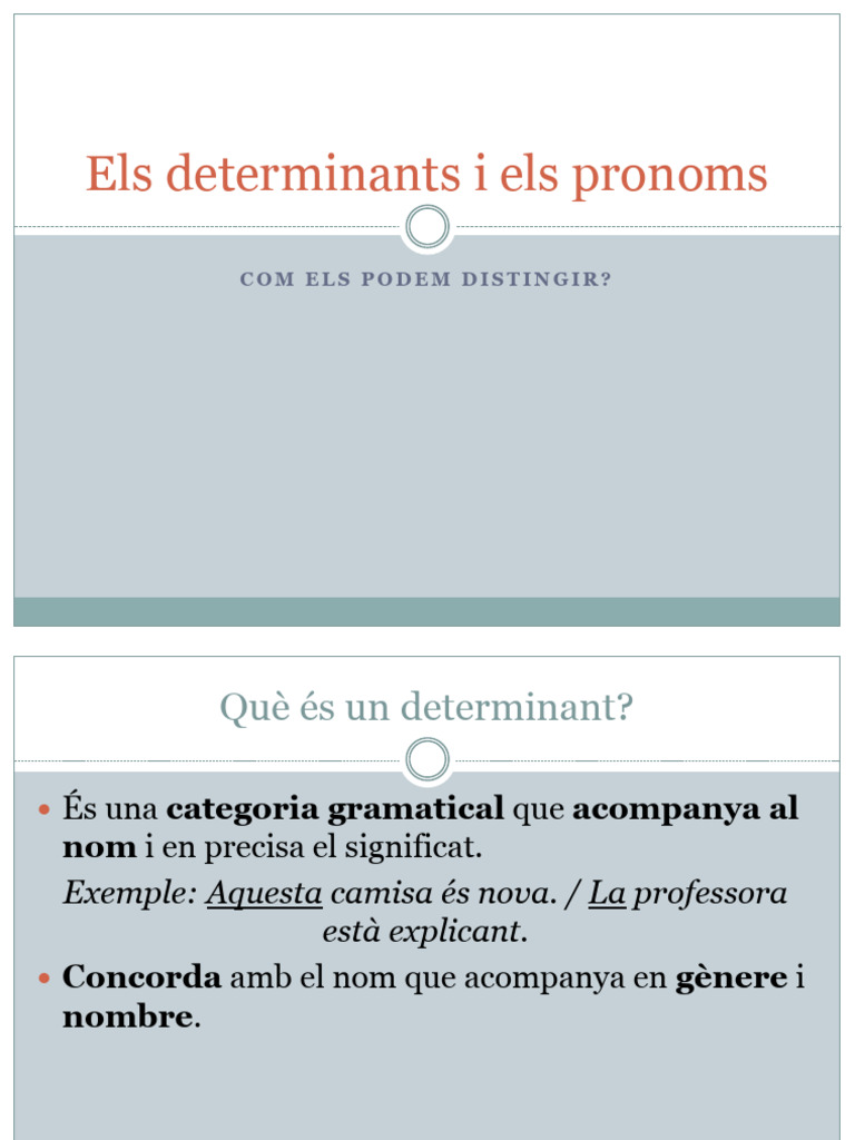 Determinants Pronoms | PDF