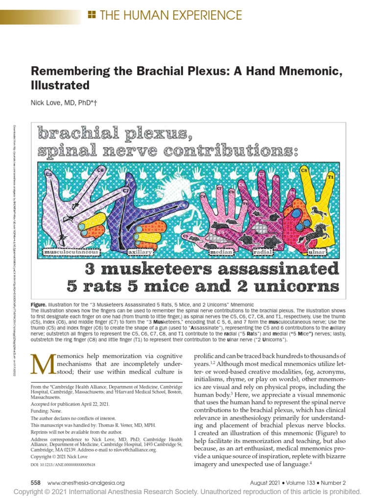 Remembering The Brachial Plexus A Hand Mnemonic,.33 | PDF | Human ...