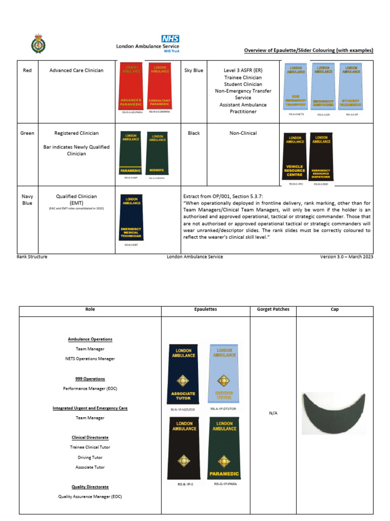 LAS Rank Structure | PDF | Emergency Medical Services | Emergency Services