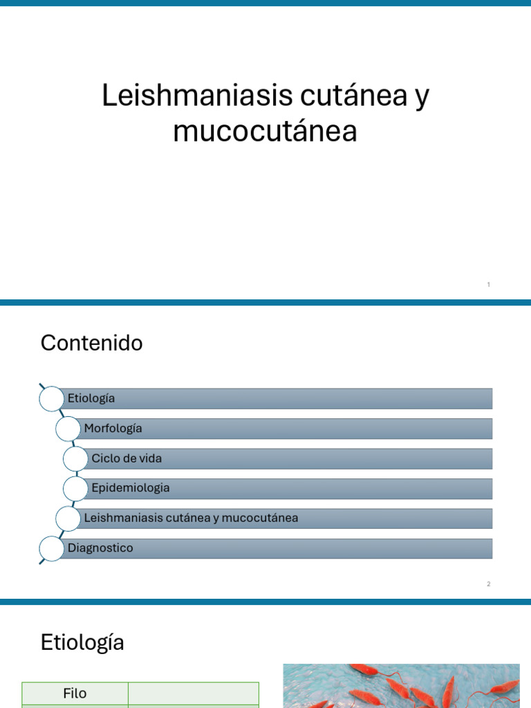 Leishmaniasis cutanea y mucocutanea | PDF | Enfermedades y trastornos ...