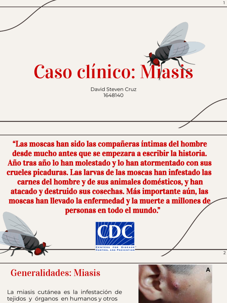 Caso Clínico- Miasis - David Cruz.pptx | PDF | Mosca | Medicina CLINICA