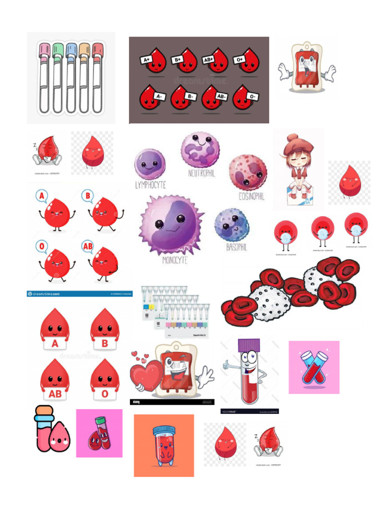 Phlebotomy Design | PDF