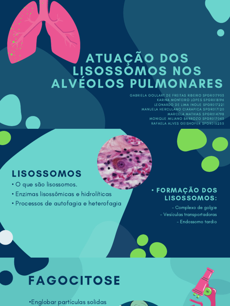 Atuação dos lisossomos nos alvéolos pulmonares (2) | PDF | Lisossoma ...