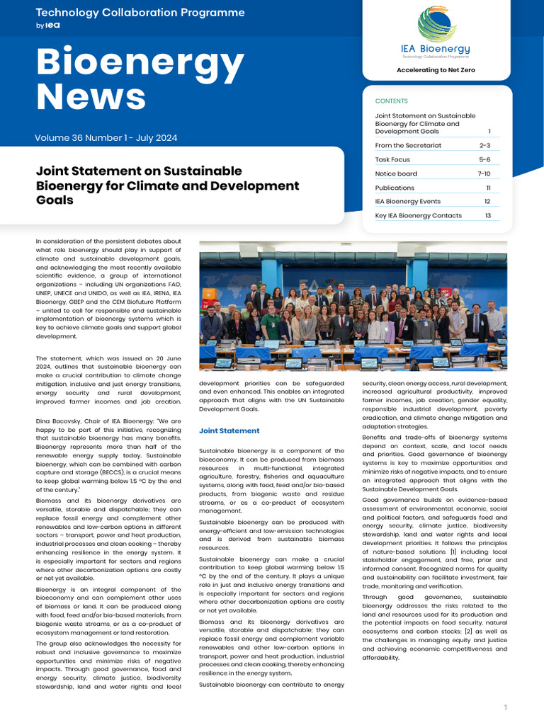 IEA Bioenergy Newsletter July 2024 | PDF | Climate Change Mitigation ...