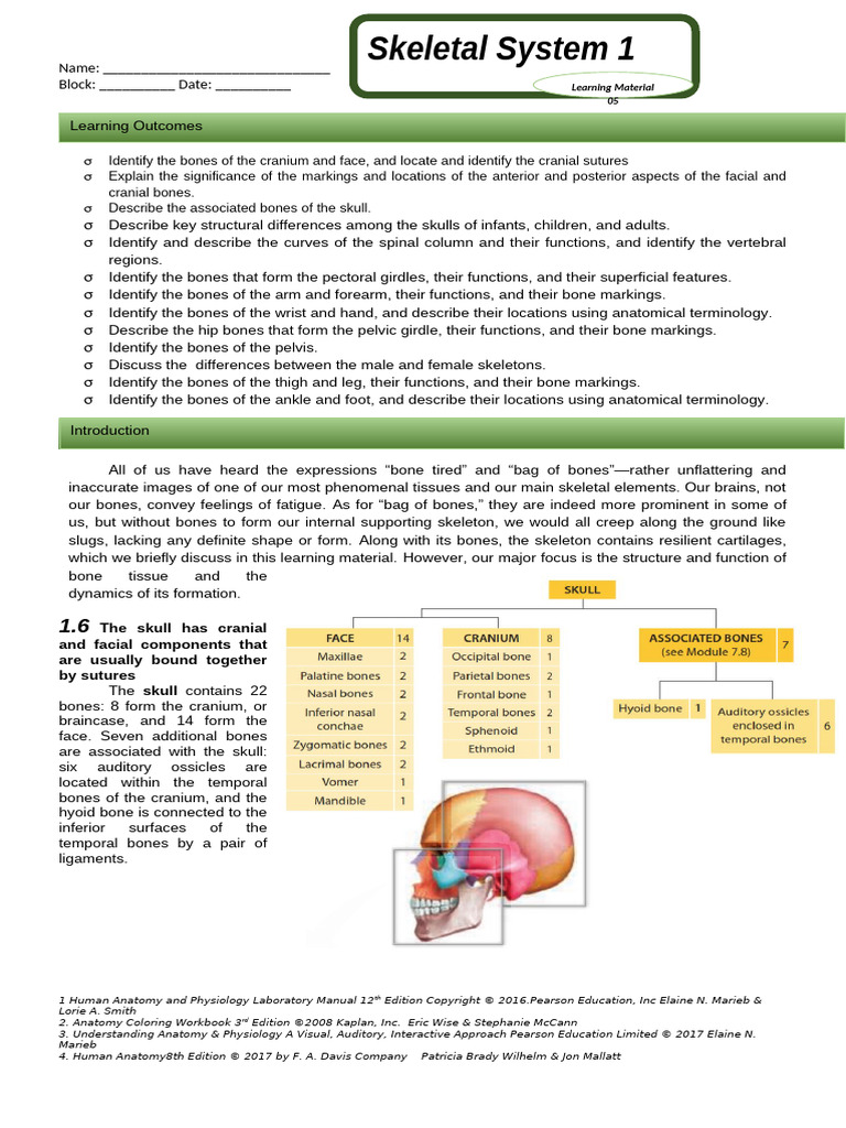 Skeletal System 1 | PDF | Vertebral Column | Skull