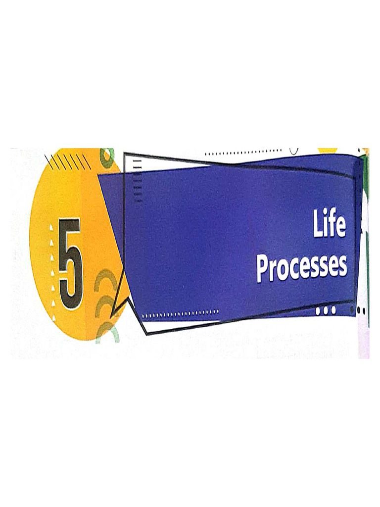 Ch 5 Life Processes | PDF | Atrium (Heart) | Lung