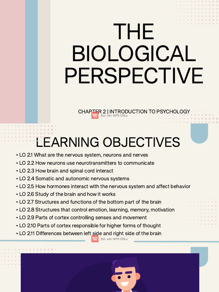 BIOLOGICAL-PERSPECTIVE | PDF | Nervous System | Neuron