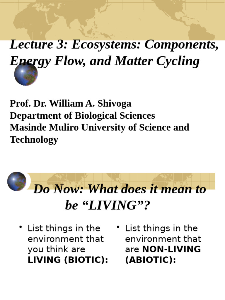 Lecture 3 Ecosystems Components Energy Flow And Matter Cycling