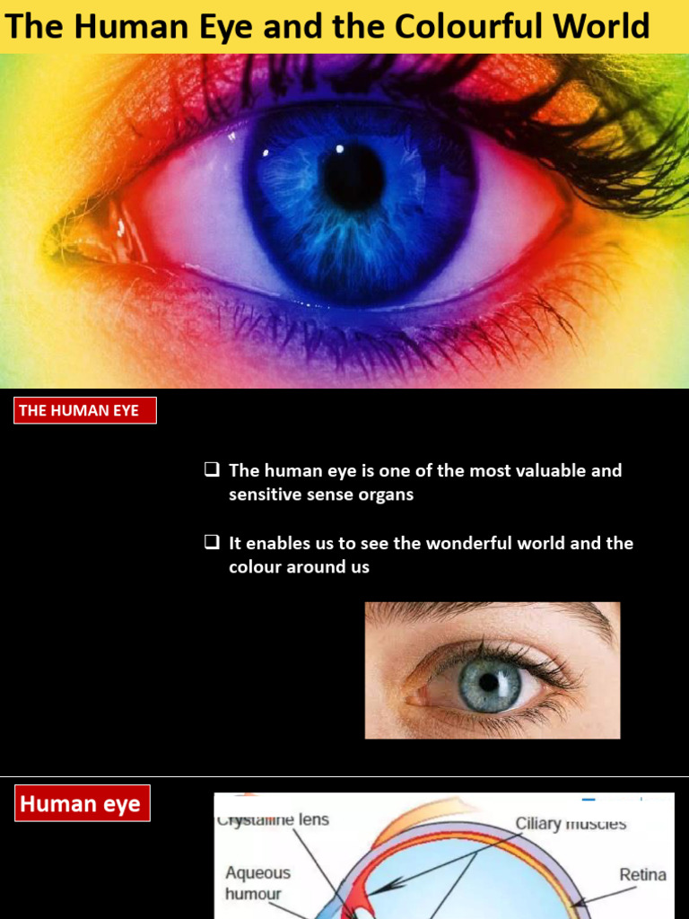 Humen_eye_full_notes-20240812170130812117 | PDF | Eye | Light