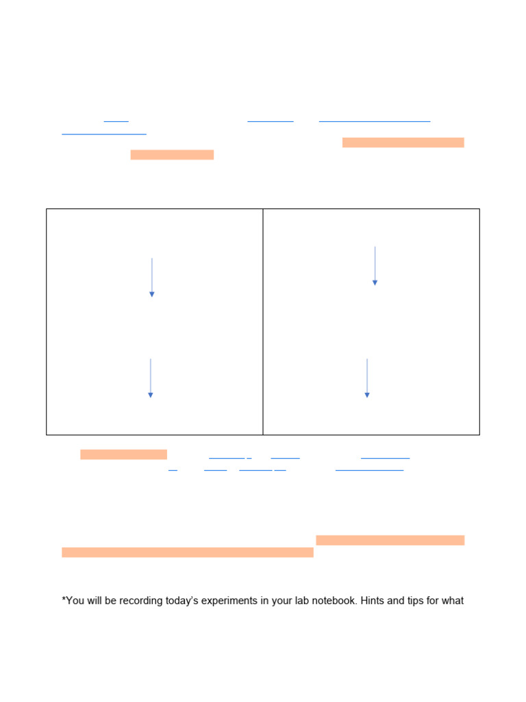 Lab 1b Model Organism Genetics Ver 2 | PDF | Allele | Dominance (Genetics)