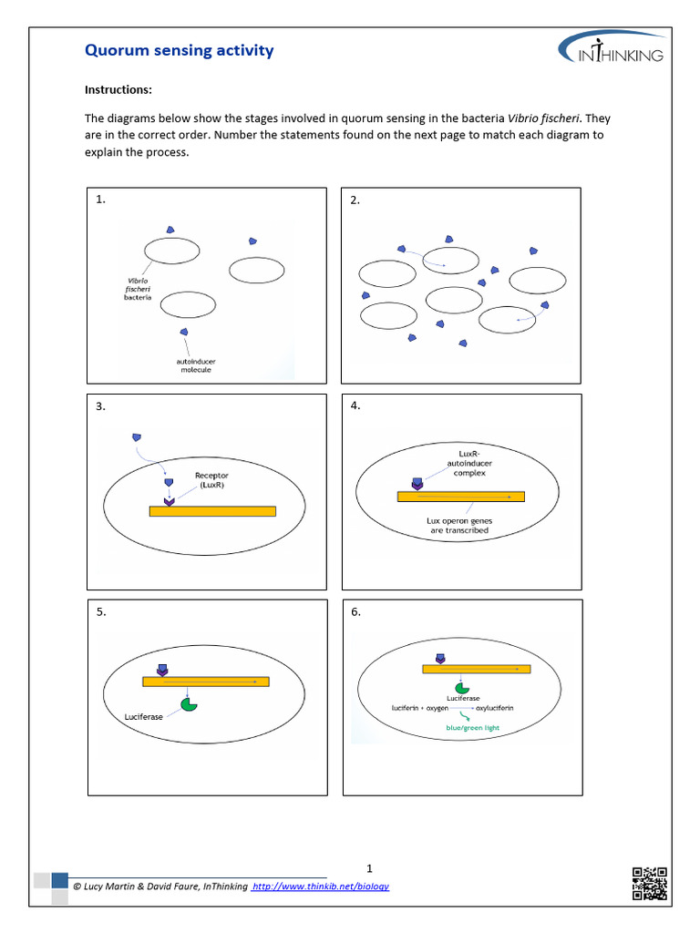 Quorum Sensing in Vibrio fischeri | PDF