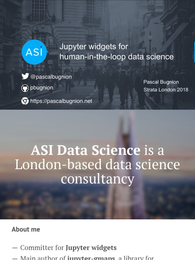 Human-In-The-loop Data Science With Jupyter Widgets Presentation | PDF