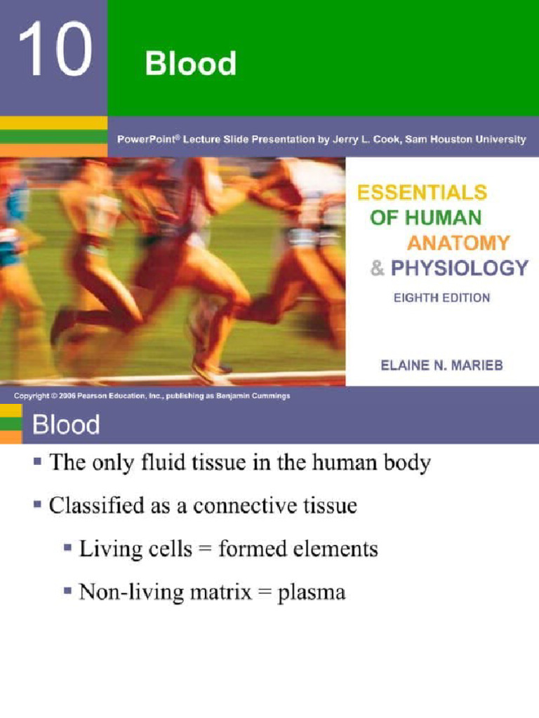 Human Anatomy Chapter 10 | PDF