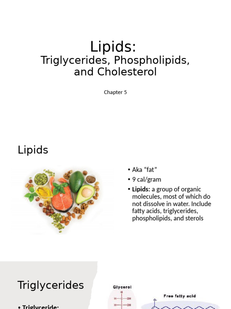 NTR 110 Chapter 5 | PDF | Fat | Fatty Acid
