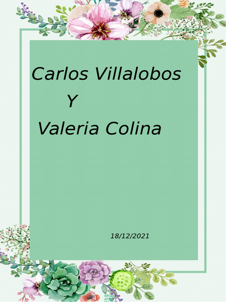 Carlos Villalobos y Valeria Colina 2021 | PDF