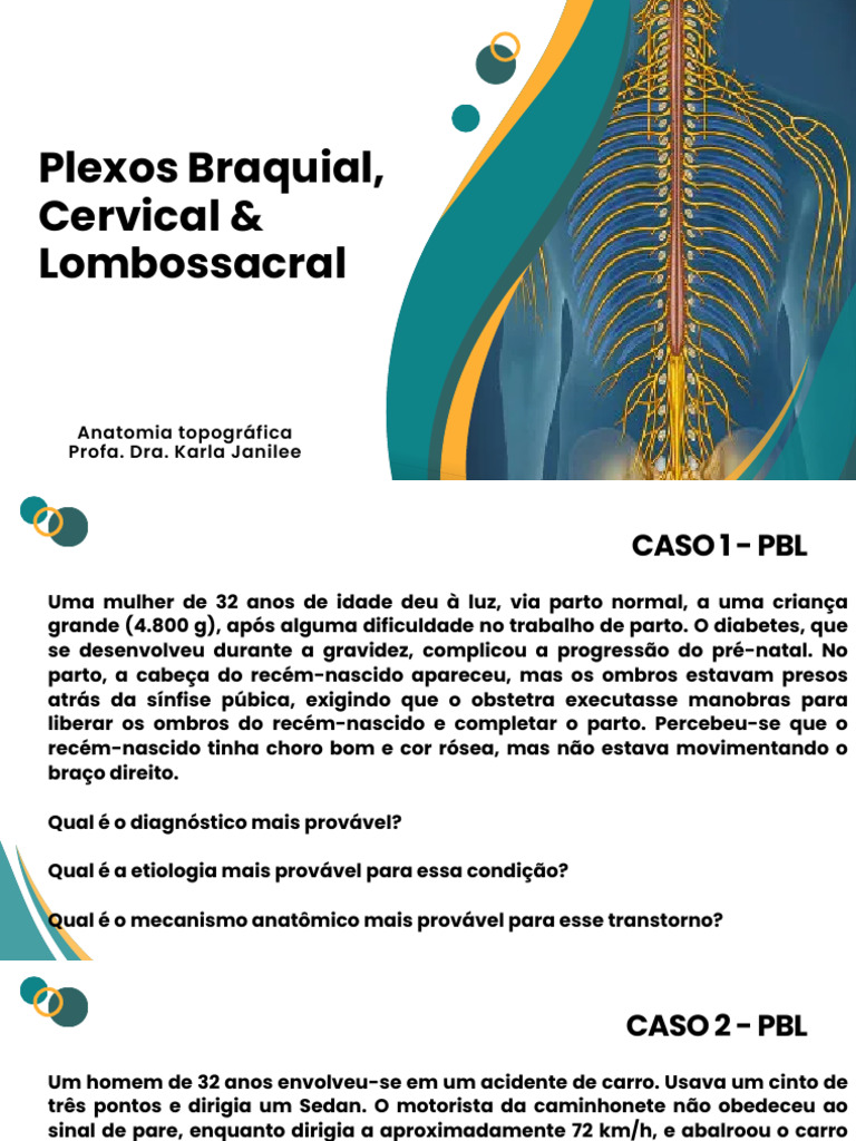 Lesões do Plexo Braquial e Lombossacral | PDF | Anatomia humana | Sistema Locomotor