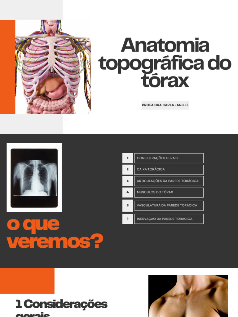 Anatomia Topográfica do Tórax | PDF | Nervo | Tórax (anatomia humana)