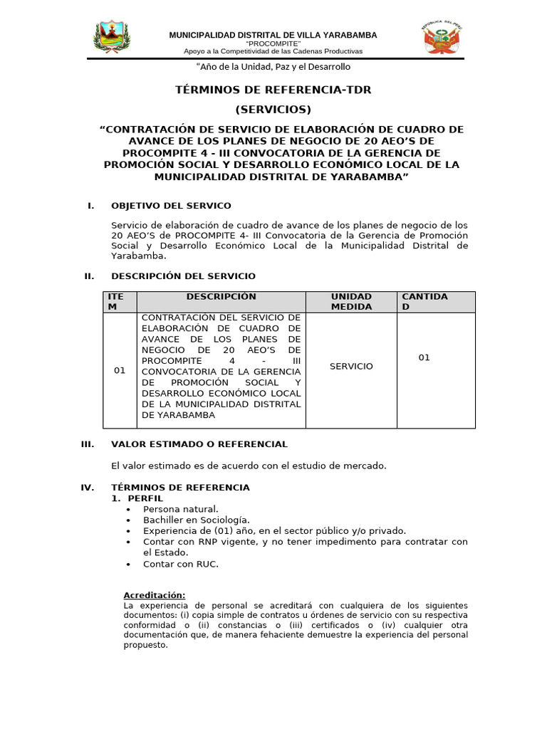 Términos de Referencia-Tdr (Servicios) : "Año de La Unidad, Paz y El ...