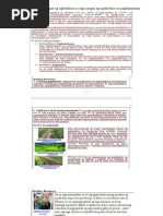 How To Plant Ube - Compiled | PDF