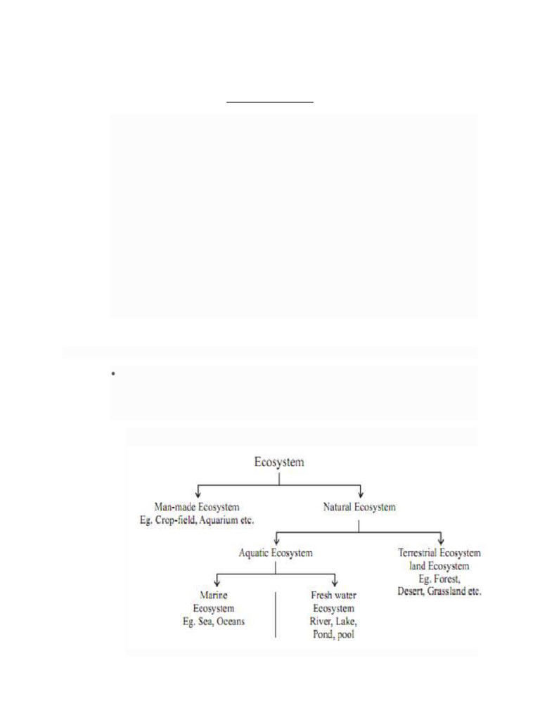 Our Environment Class 10 | PDF | Ozone Depletion | Municipal Solid Waste