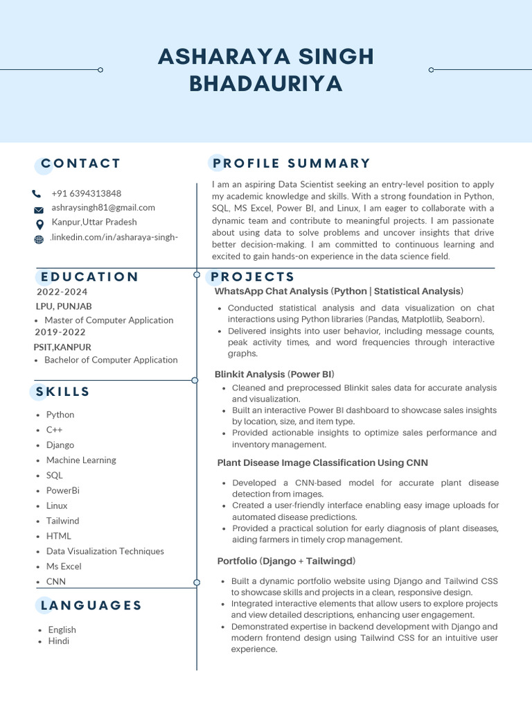 Blue Simple Professional CV Resume | PDF | Data Science | Computing