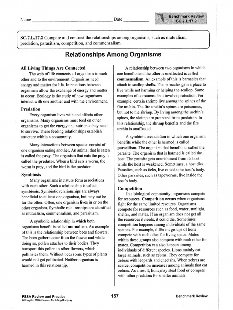 SC_7_L_17_2 Relationships Among Organisms | PDF