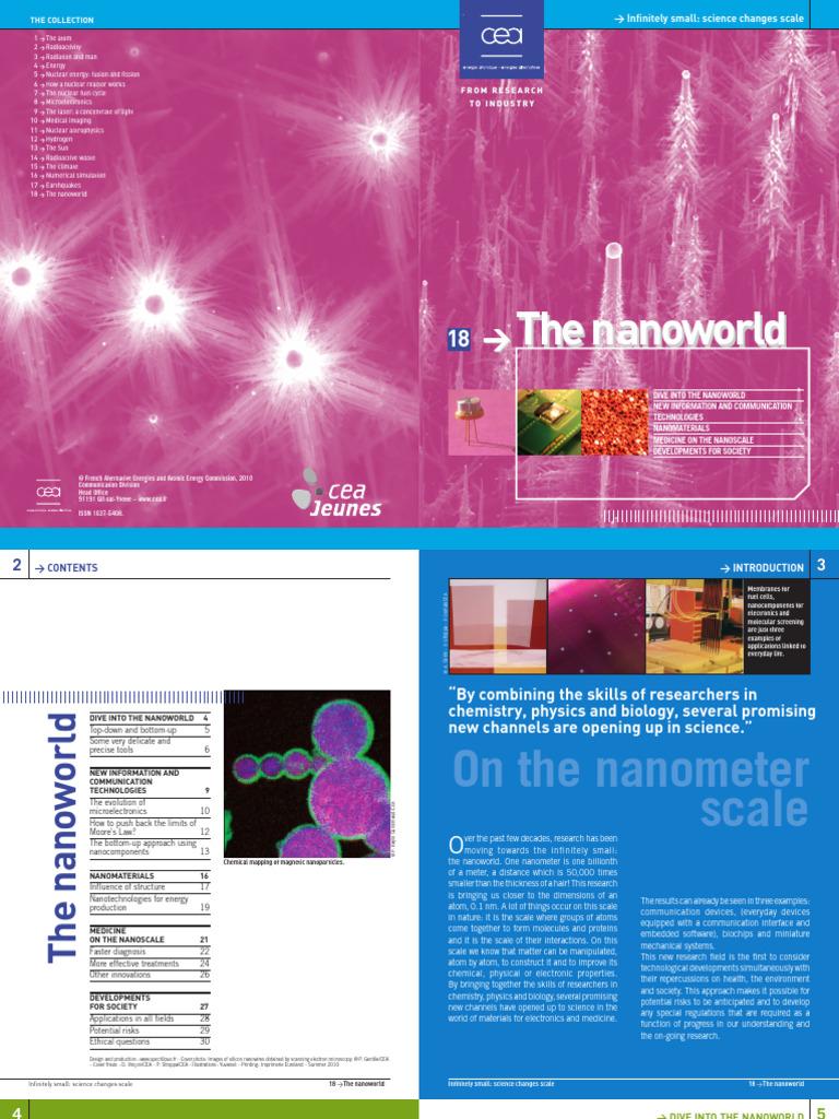 Exploring the Nanoworld: Science Unveiled | PDF | Quantum Tunnelling | Nanotechnology