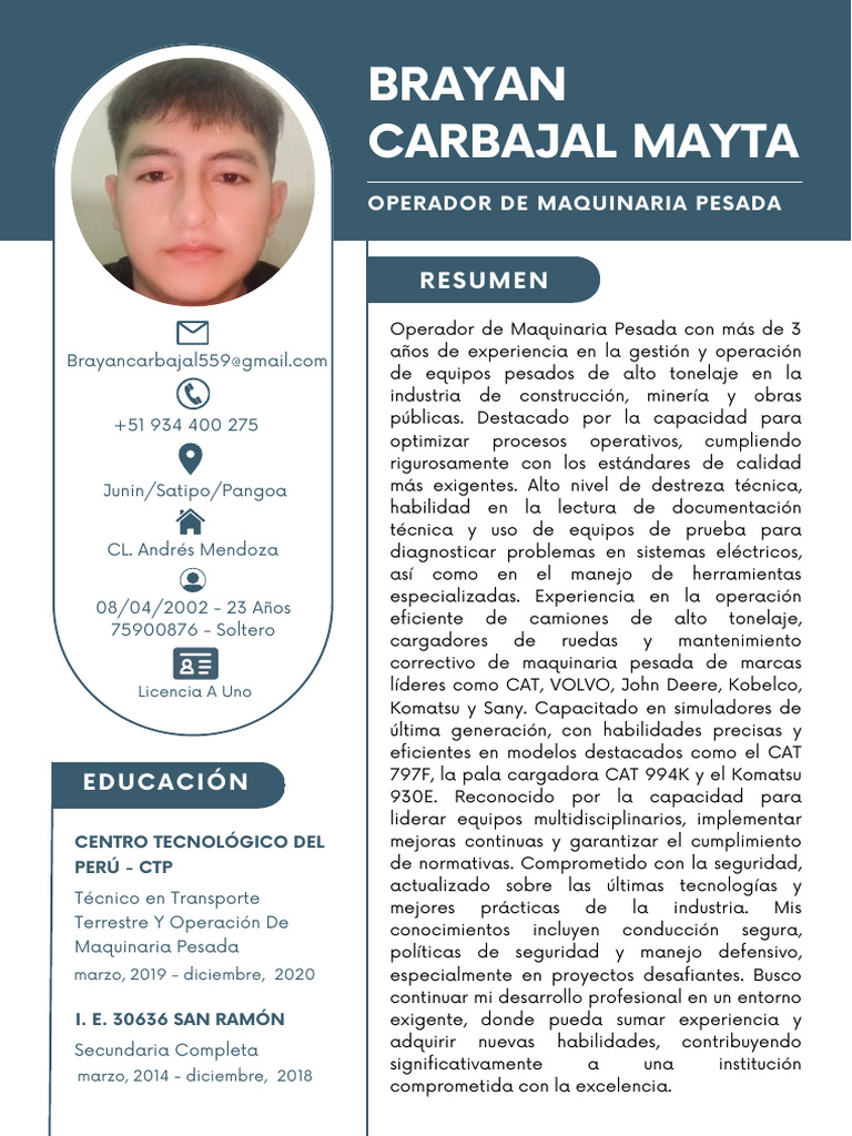 Brayan CV | PDF | Minería