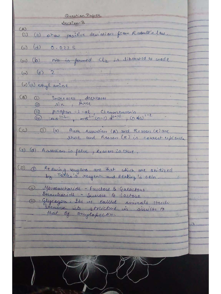DocScanner 27-Nov-2024 8-44 PM | PDF
