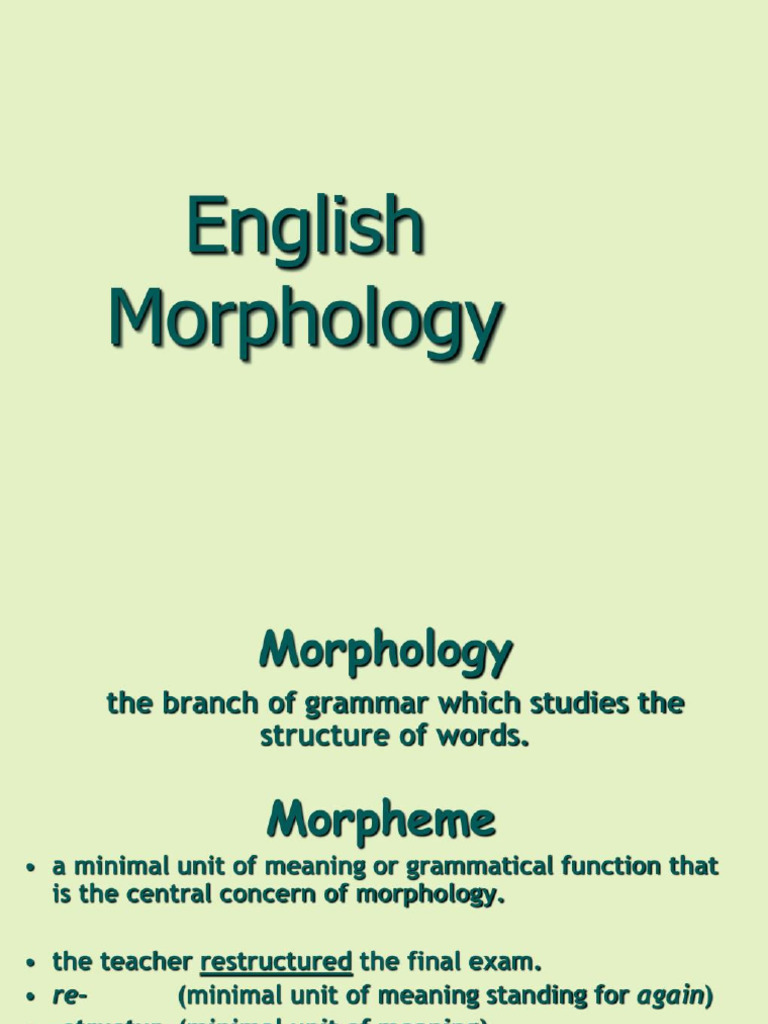 English Morphology | PDF