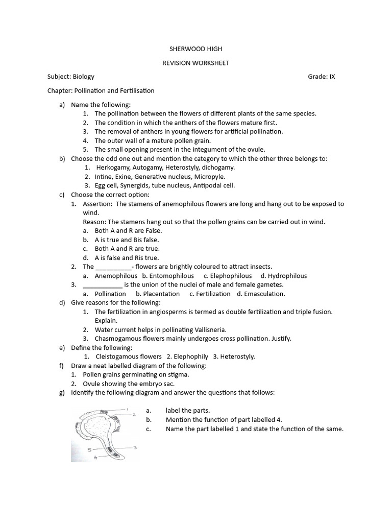Pollination and Fertilization | PDF | Flowers | Fertilisation