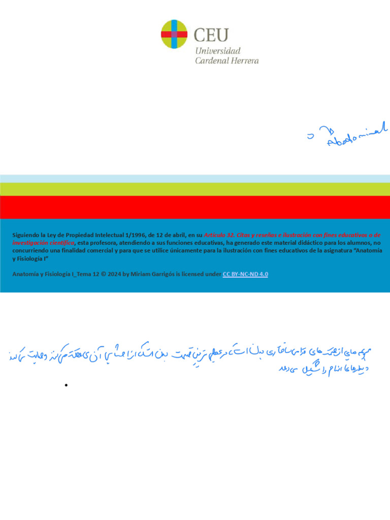 Tema - 12 - Presoma - toracicoGFT (1) 1 | PDF | Tórax | Tórax (anatomía ...